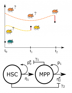 Bayesian Mechanistic Models – Data Science Initiative